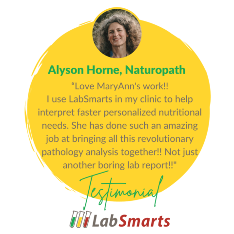 Blood Work Interpretation Software for Practitioners - LabSmarts