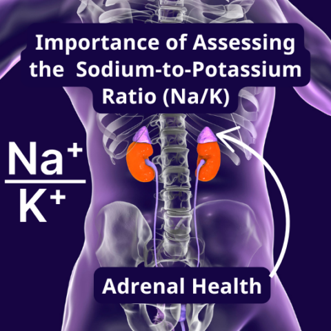 Importance of Assessing the Sodium-to-Potassium Ratio for Adrenal Health